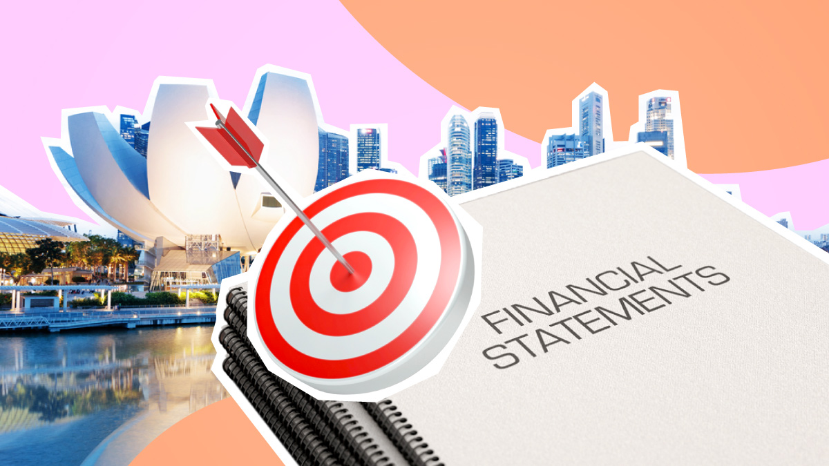 General Purpose Financial Statements in Singapore 101 - Vero
